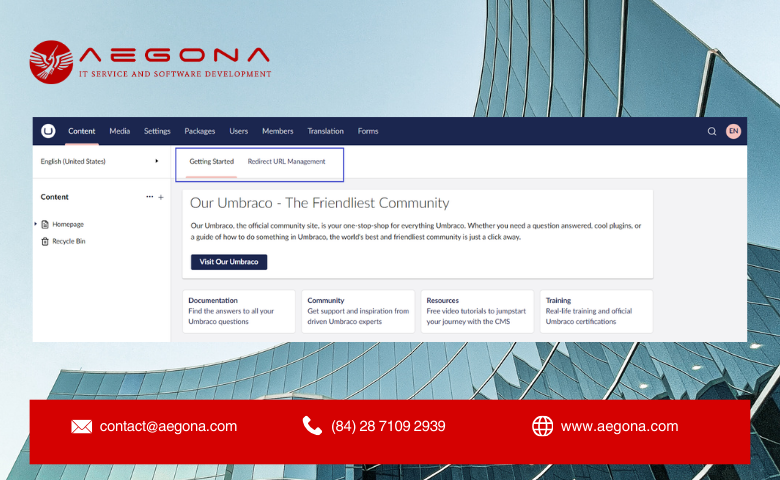 Professional Umbraco CMS Website Design and Development Company in Vietnam